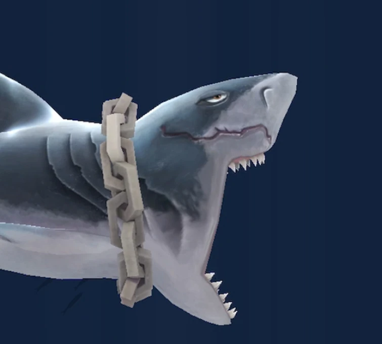 What shark? | Fandom