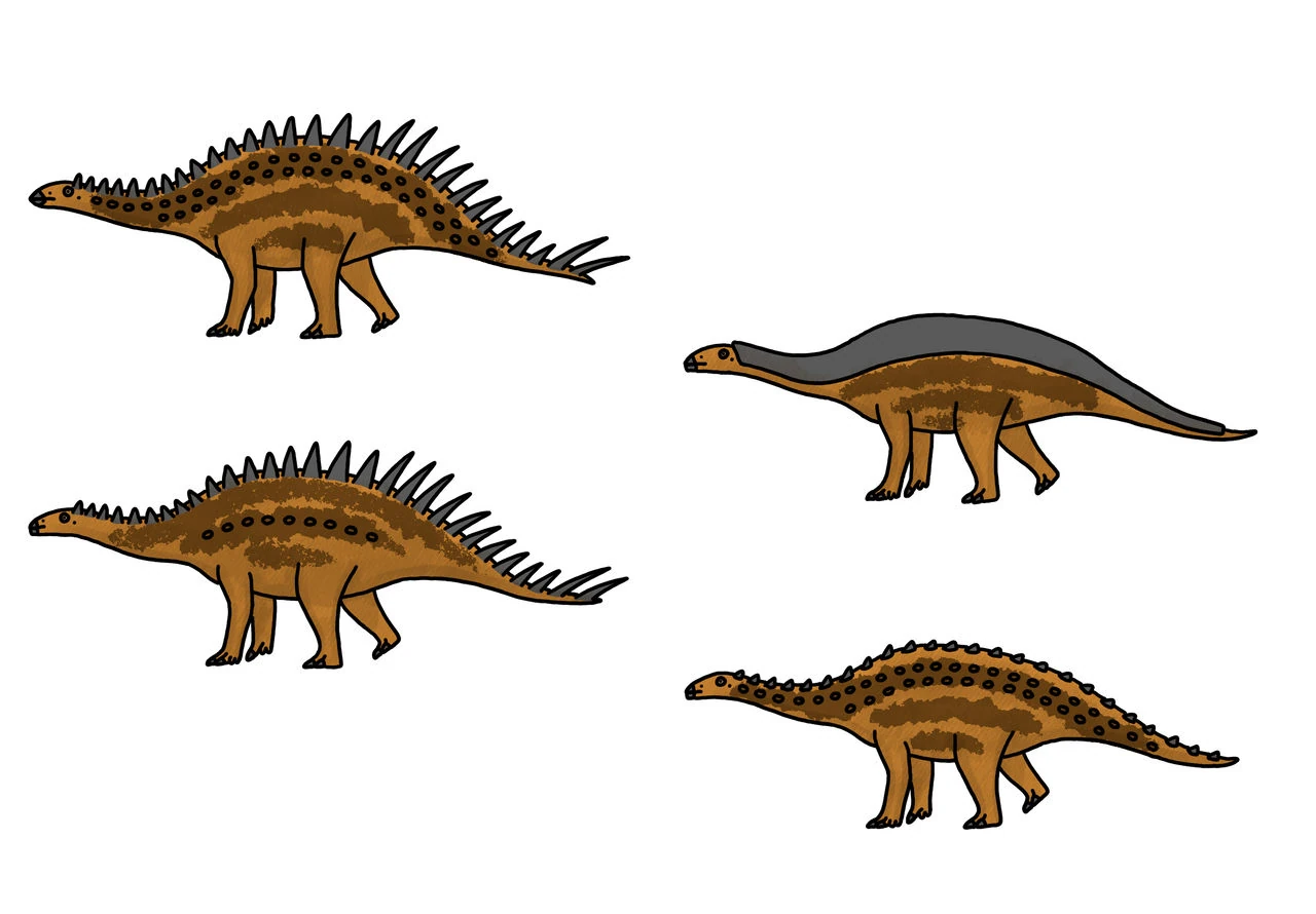 Thyreosaurus | Fandom