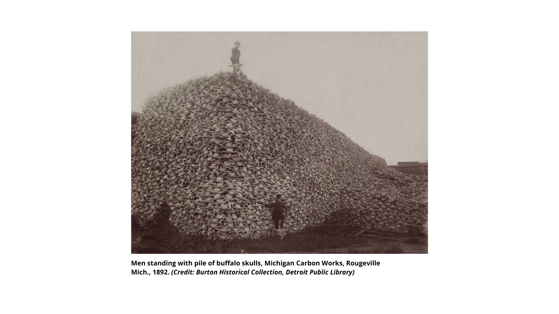 sad historical fact 2 | Fandom