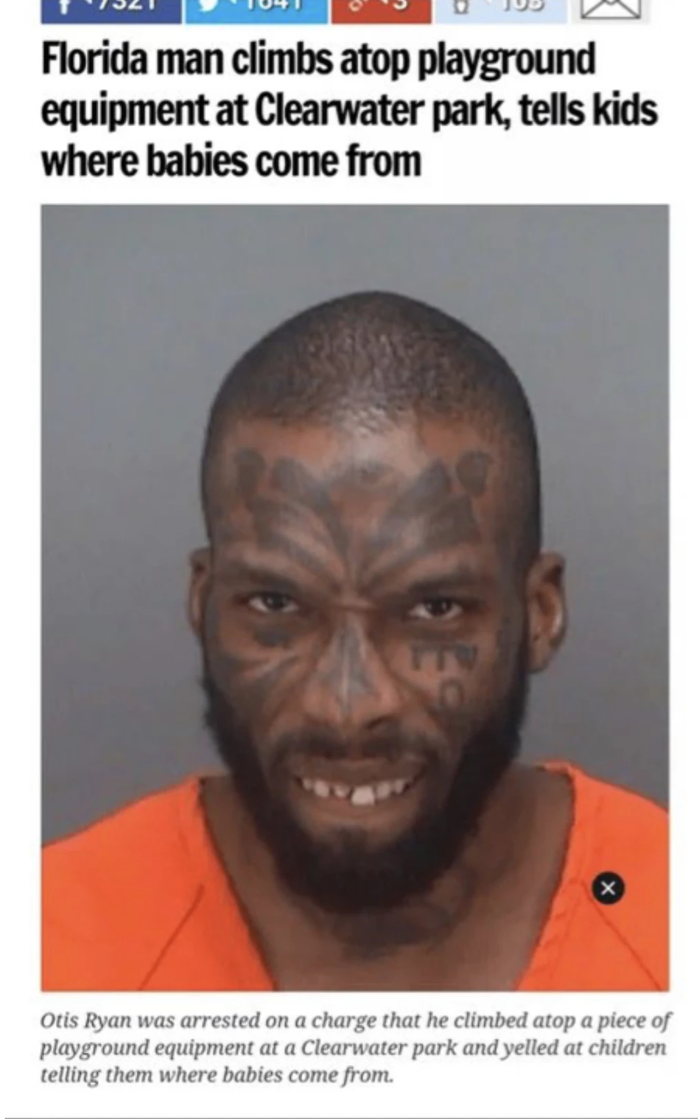 florida is just different yk 🔥🦅 | Fandom