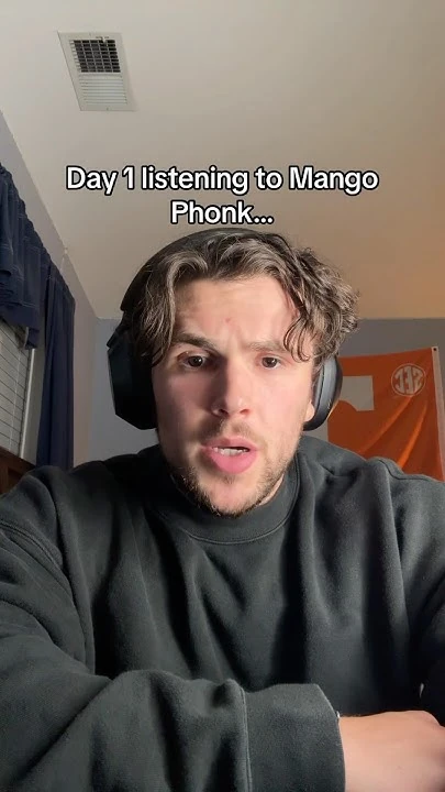 Would Cyn like this (mango phonk) | Fandom