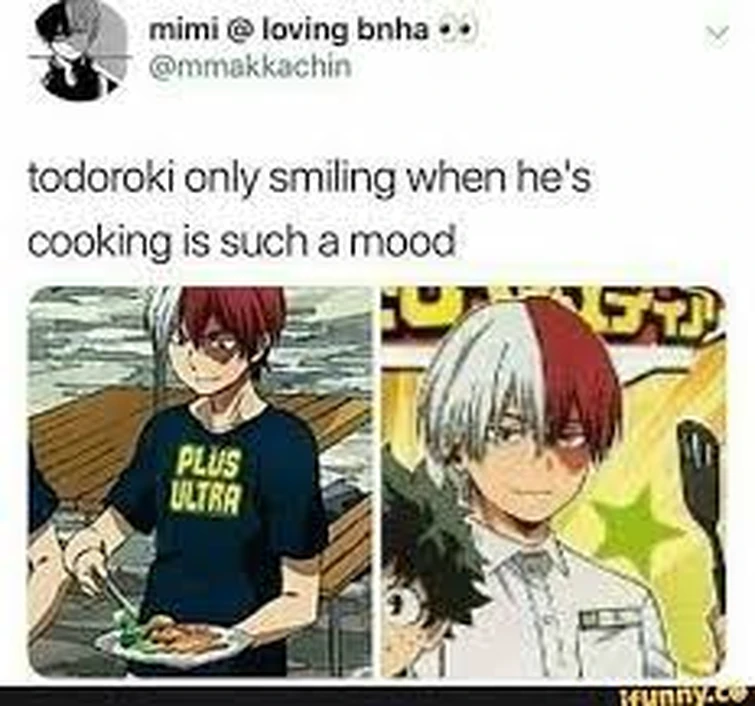 TODOROKI MEMES | Fandom
