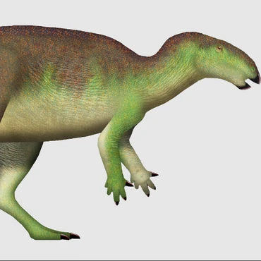 Discuss Everything About Dinopedia | Fandom