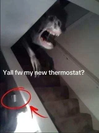 Yall fw my new thermostat? | Fandom