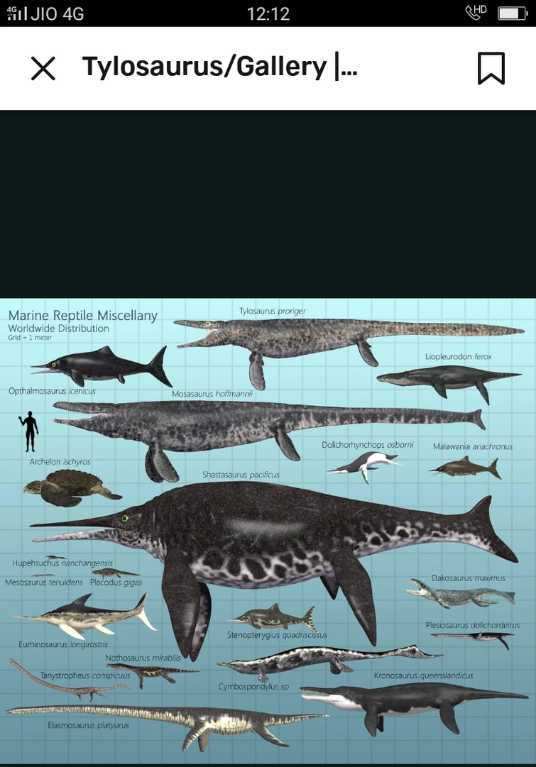 Mosasaurus Versus Liopleurodon Walking With Dinosaurs Liopleurodon Vs