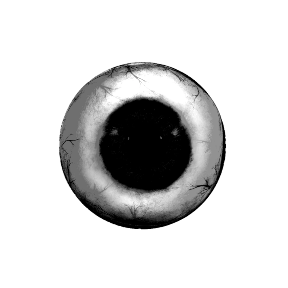 Erm, an eyeball | Fandom