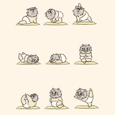 Baby inosuke v5 | Fandom