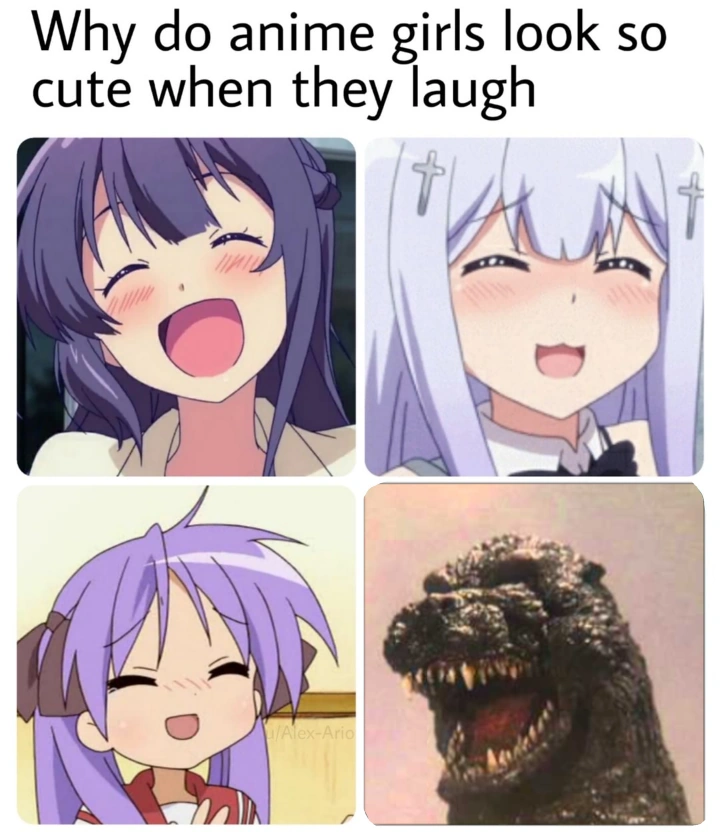 Godzilla Meme I made | Fandom
