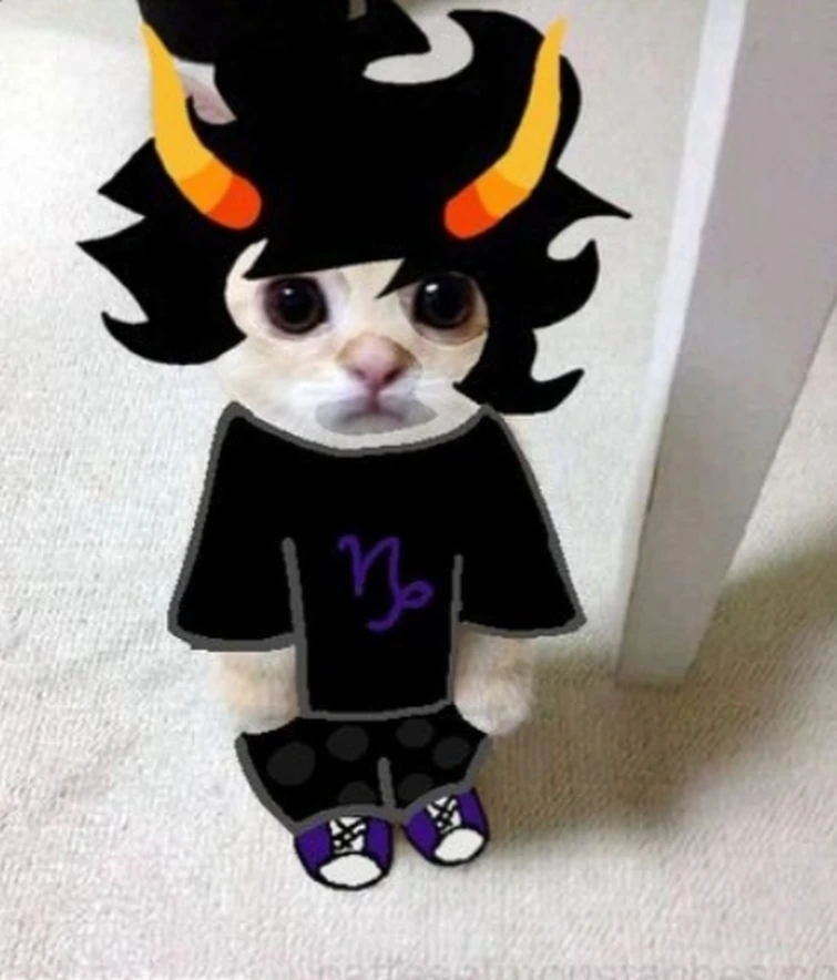 Back to the grind | Fandom