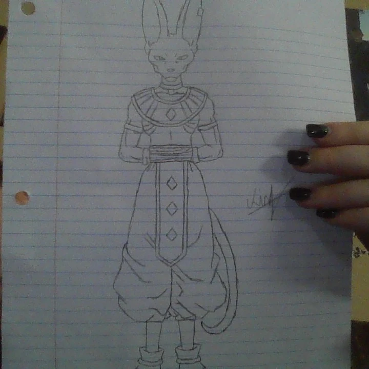I drew Beerus (Extremely rough sketch) | Fandom