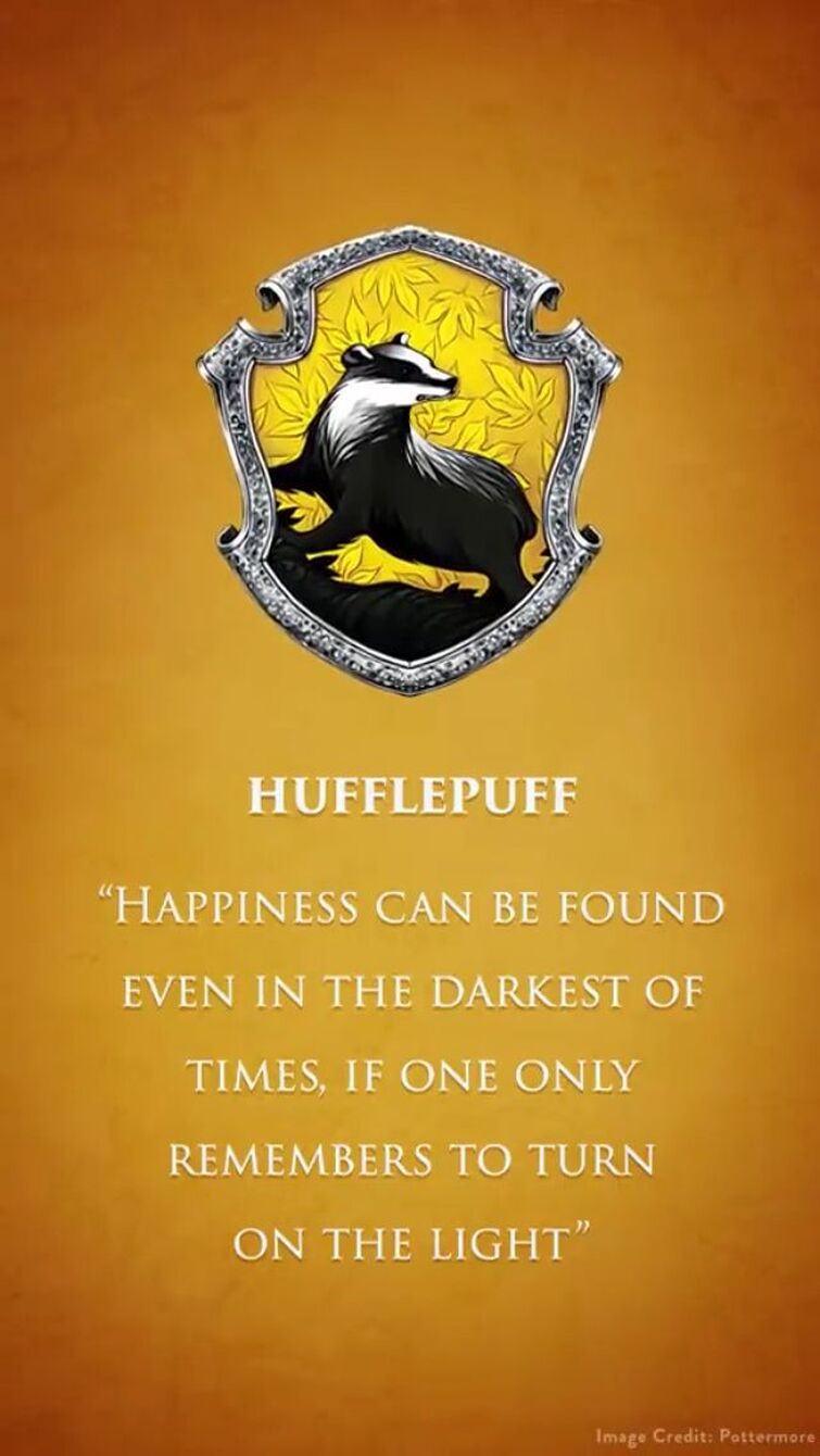 Hufflepuff Pride Day 💛🖤💛🖤💛🖤💛🖤💛🖤💛🖤💛🖤💛🖤 | Fandom