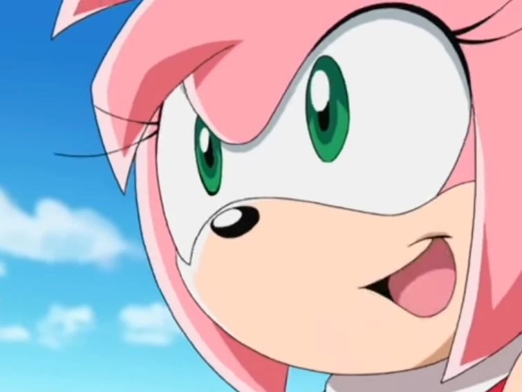 Amy Rose is the cutest thing i've saw in my life! | Fandom