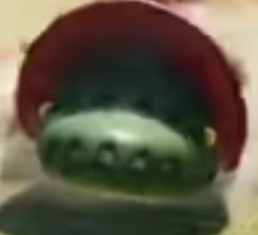 Discuss Everything About Pikmin Wiki | Fandom