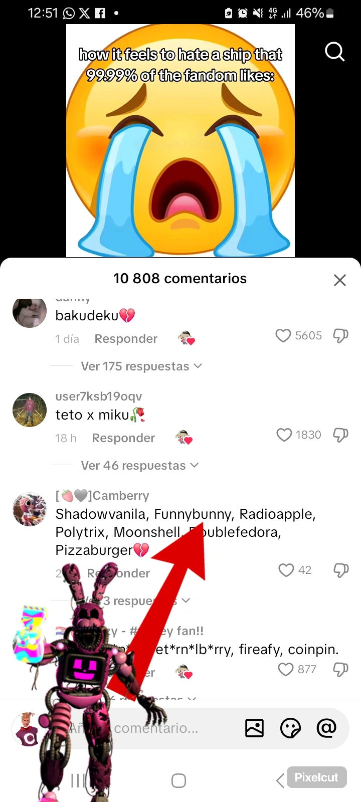What is bro's beef with funnybunny | Fandom