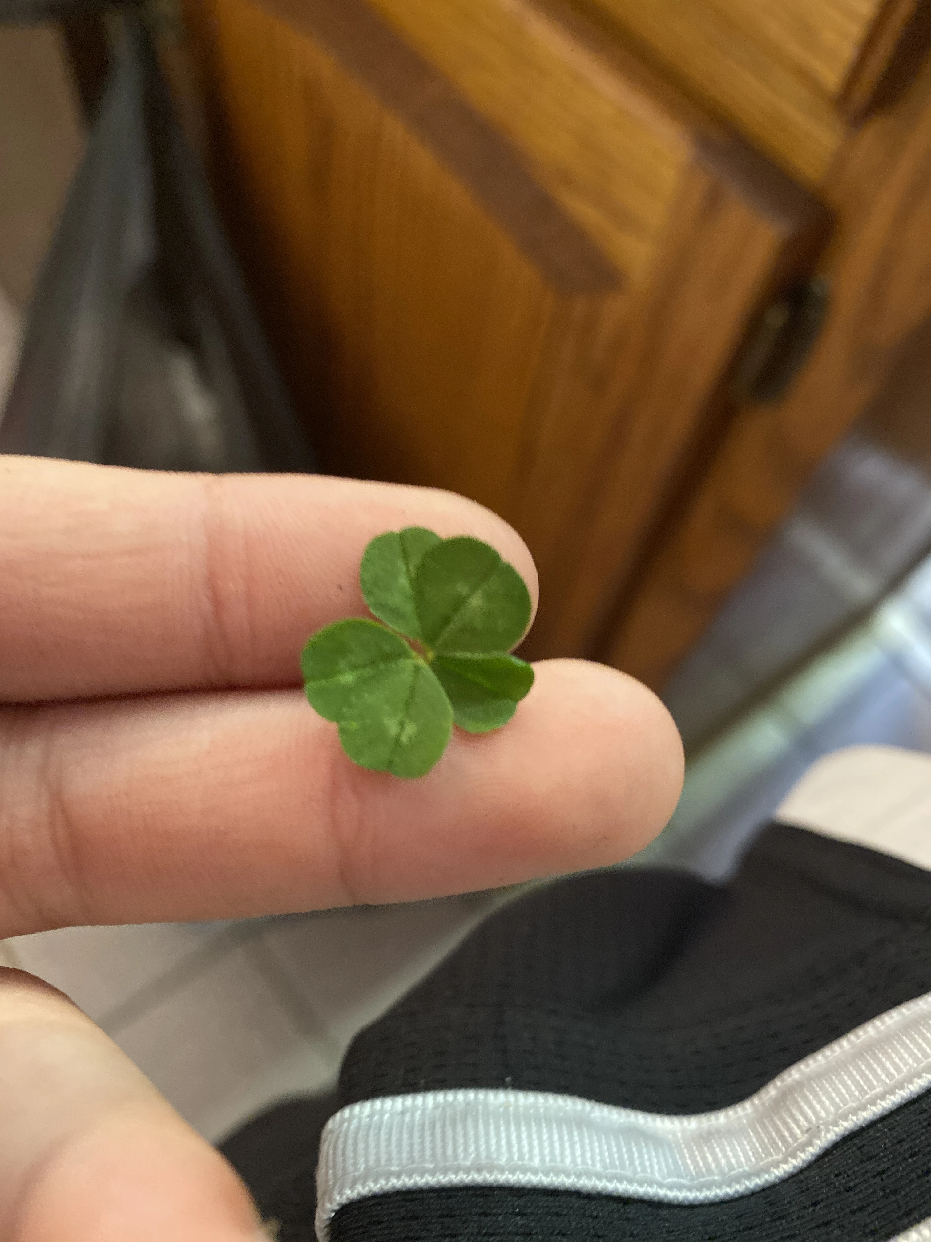 I hope I can get an Ultimate Clover before the event ends... | Fandom