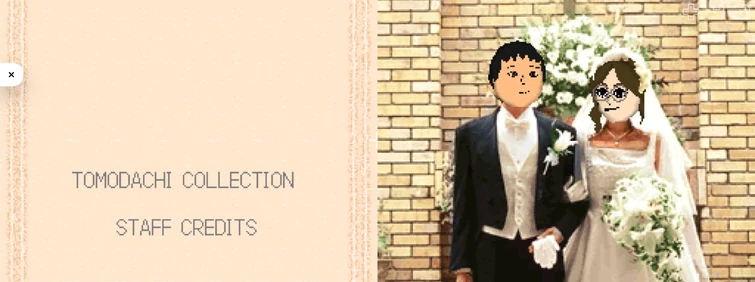 I "completed" Tomodachi Collection! | Fandom