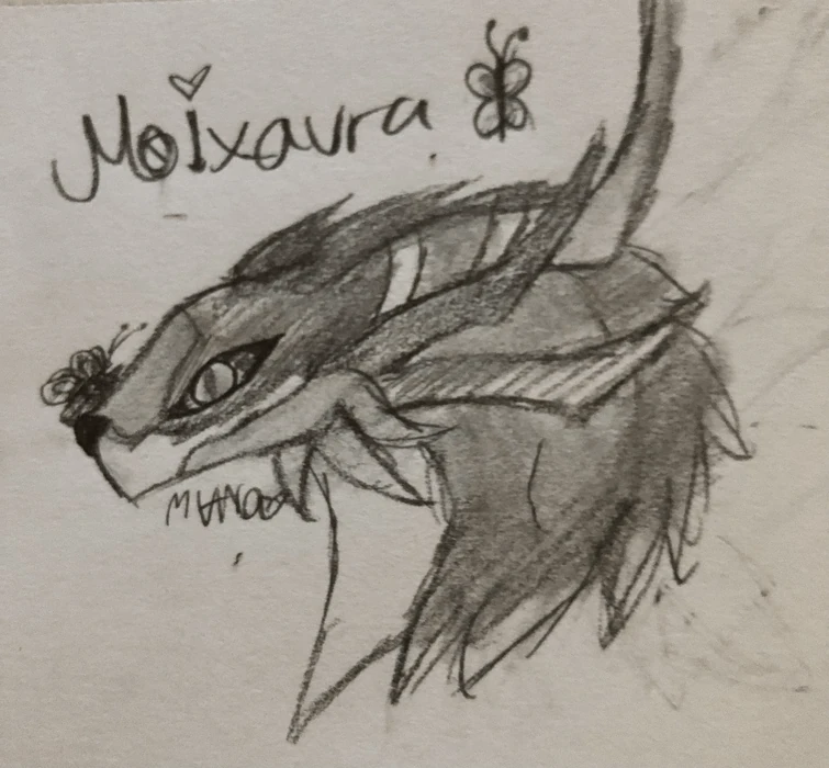 Dragon Sketches Batch 1! | Fandom