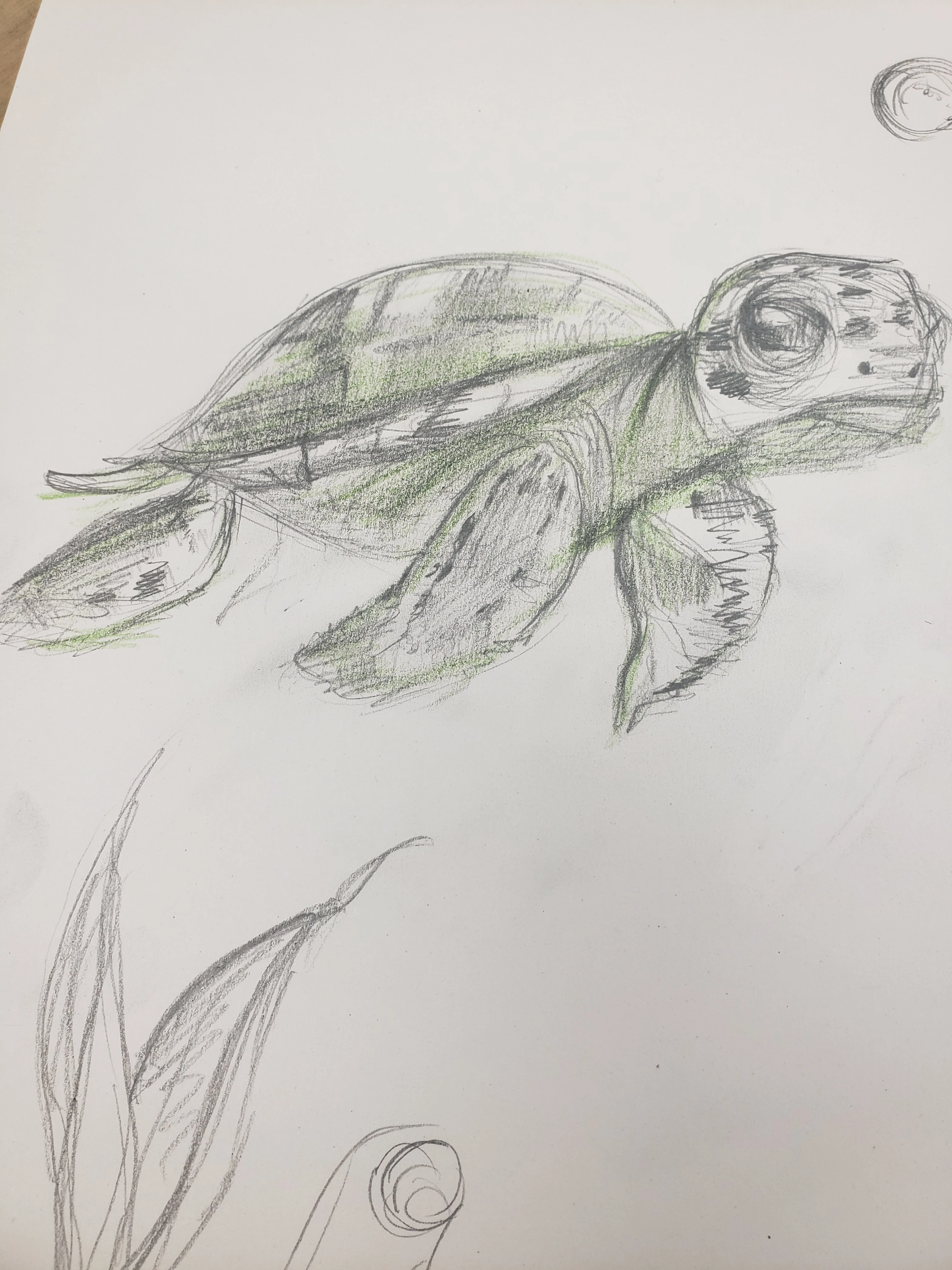 drawings i made in class pt 7 except I got caught | Fandom