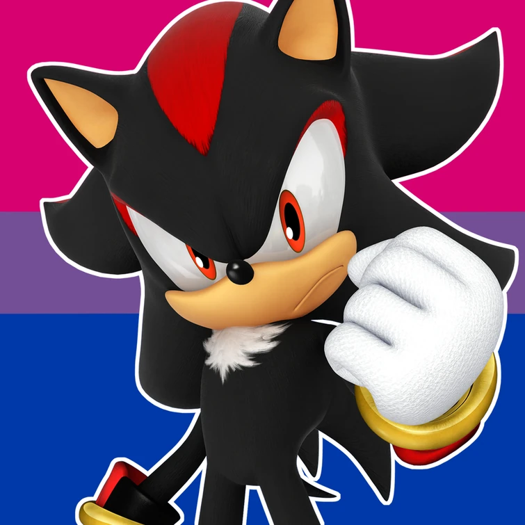 I HAVE COME TO MAKE A ANNOUNCEMENT SHADOW THE HEDGEHOG IS A BI- | Fandom