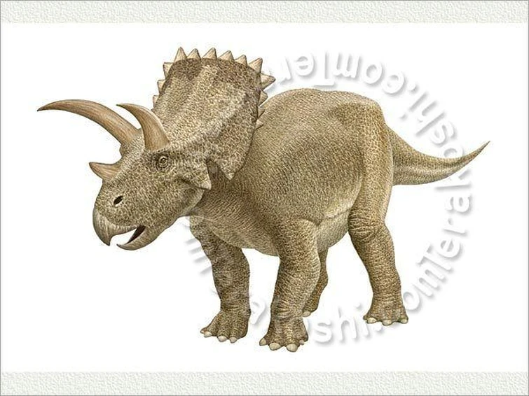 spinops (iron) vs arrhinoceratops (thorn) | Fandom