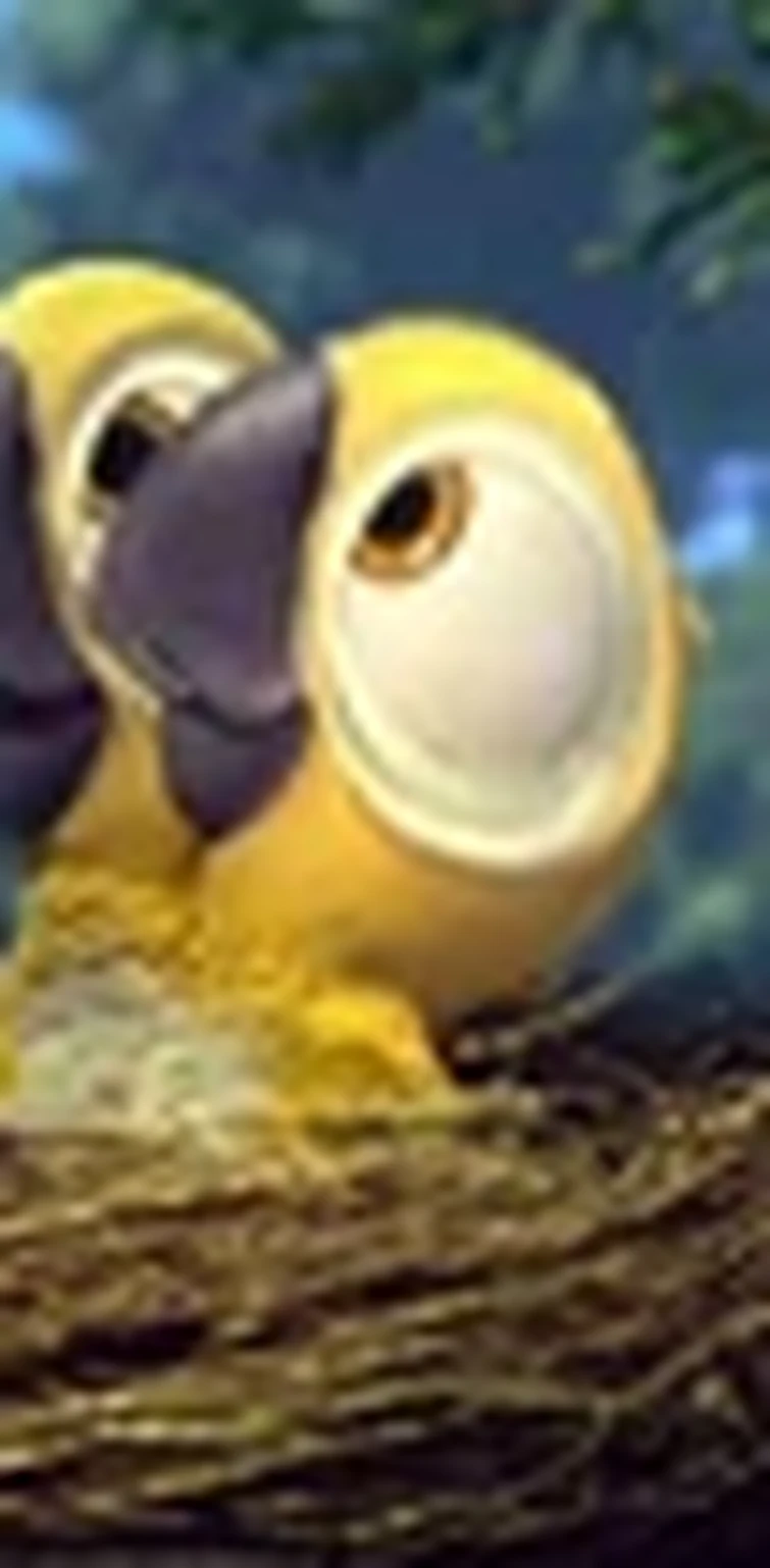 Discuss Everything About Rio Wiki | Fandom