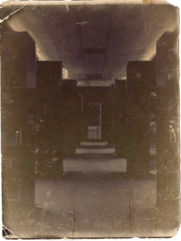 Level 230.1 Re-Write V3 | Fandom