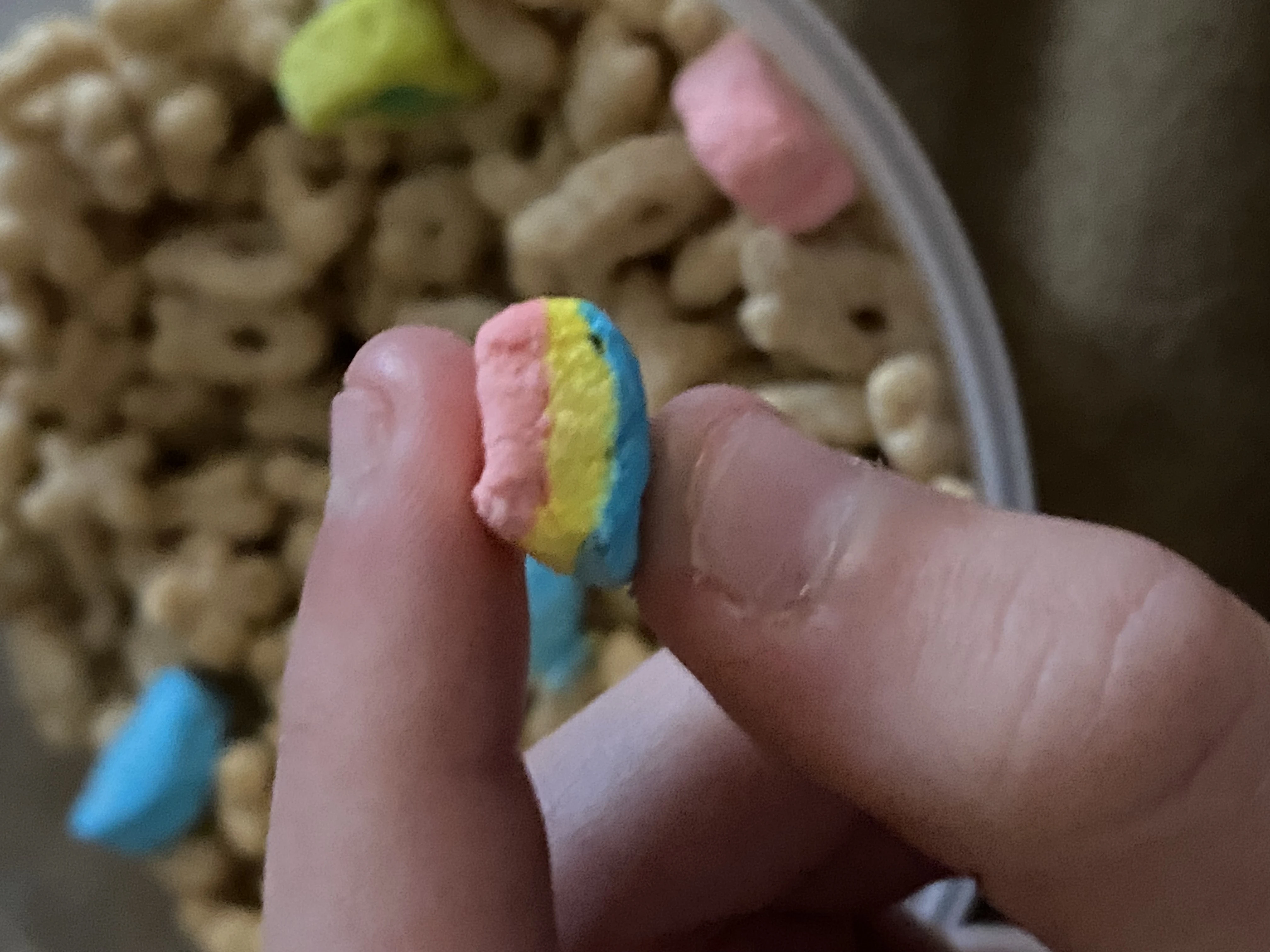 Lucky Charms supports Pans | Fandom