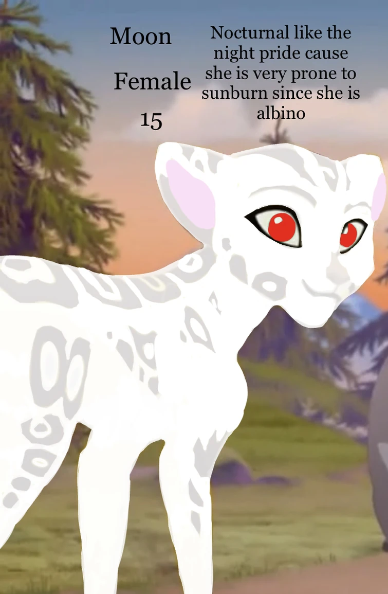 I made a cheetah oc (original character) | Fandom