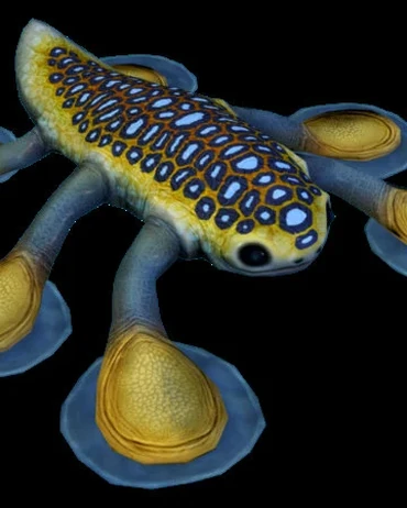 Are hover fish cute??? | Fandom