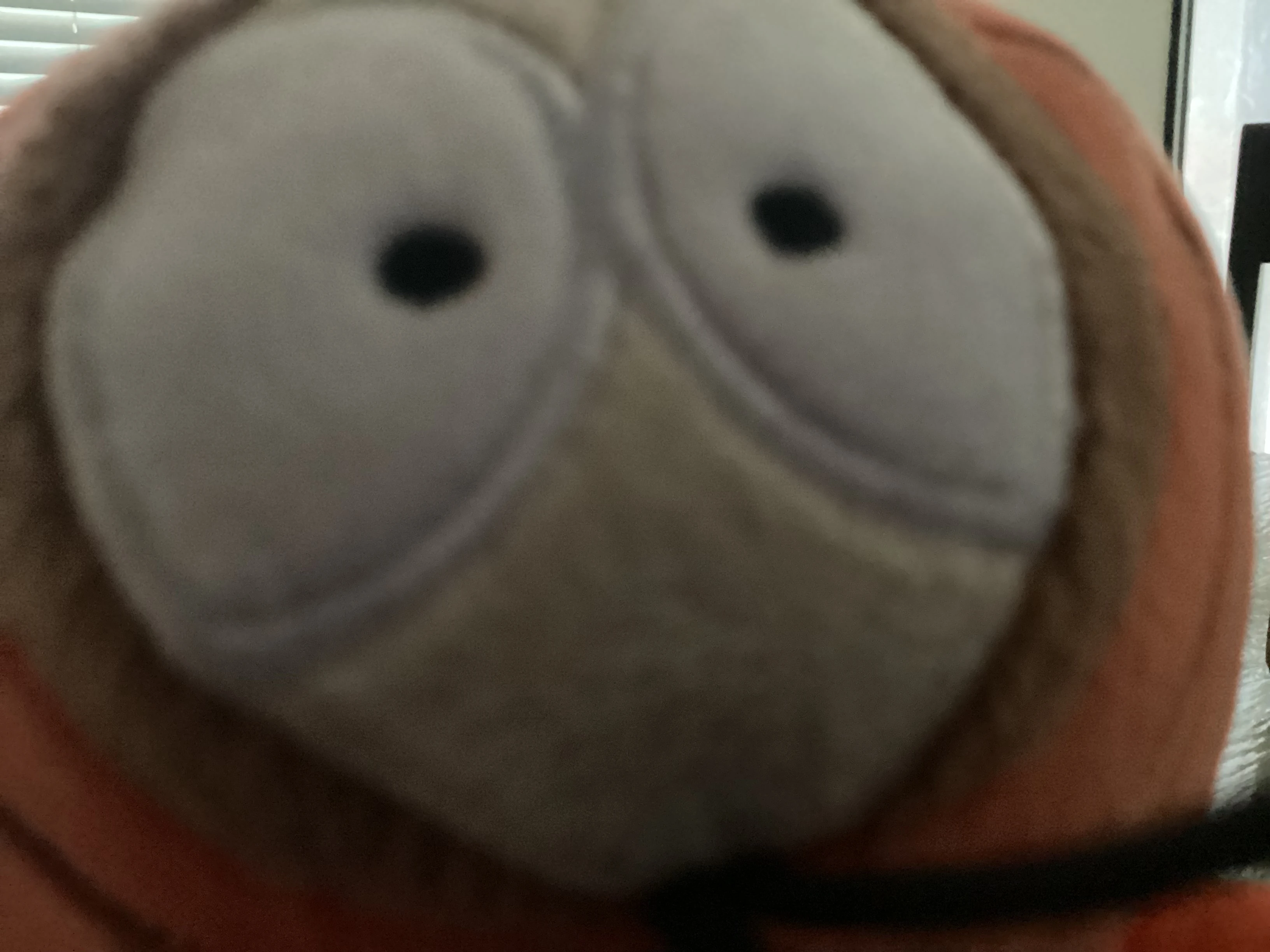 IT SQUEAKS!! | Fandom