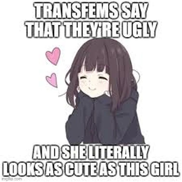 Transfem memes that I relate to (Stolen from Lexi) | Fandom