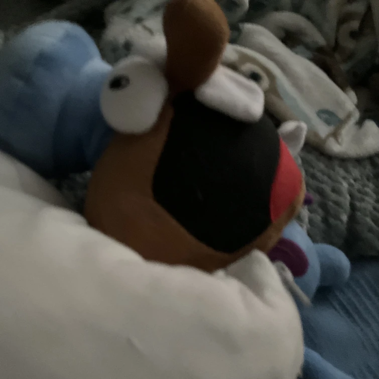 Daily doise picture part 1 | Fandom