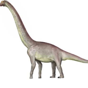 Discuss Everything About Dinopedia | Fandom