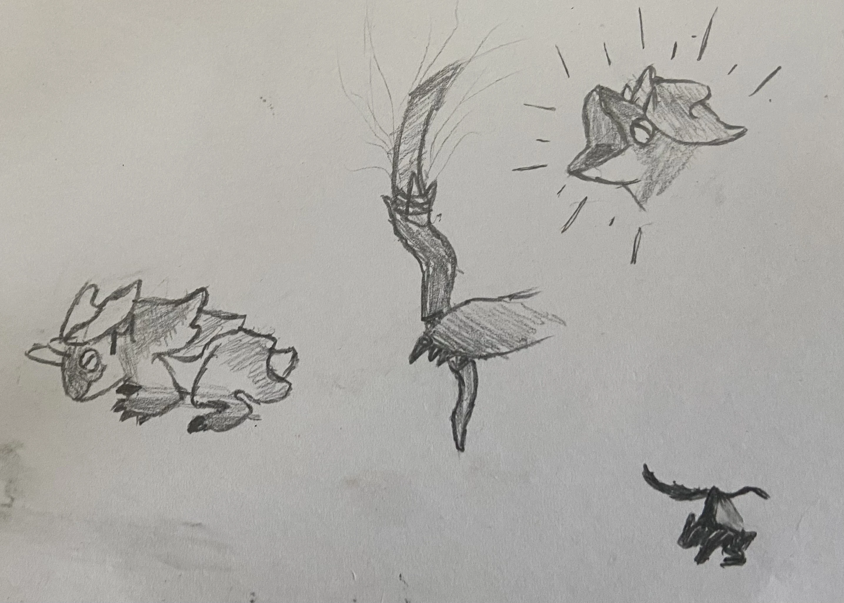 Next animation | Fandom