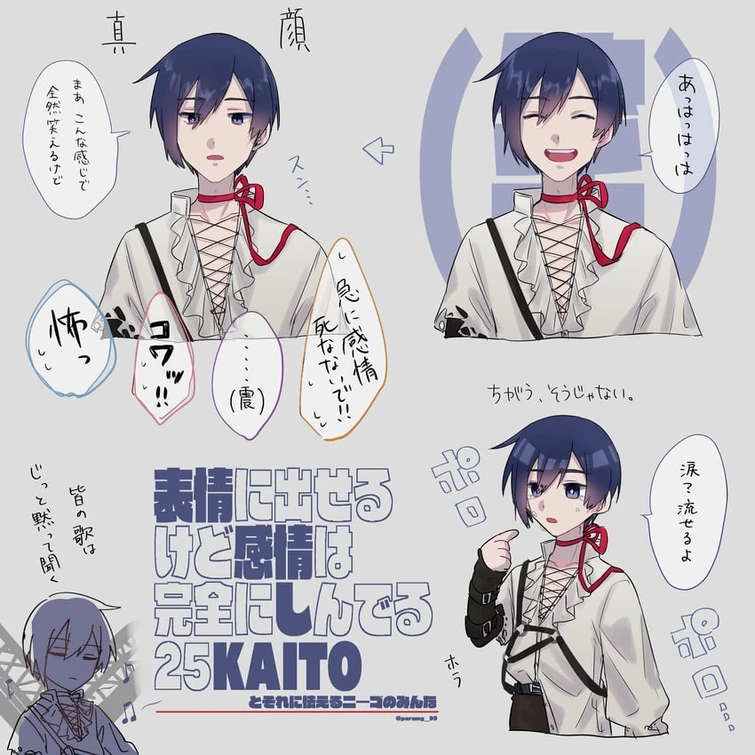 What do you think N25 Kaito will be like | Fandom