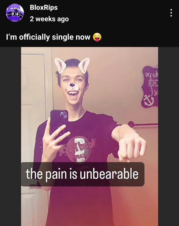 who is the TRUE duck god? | Fandom