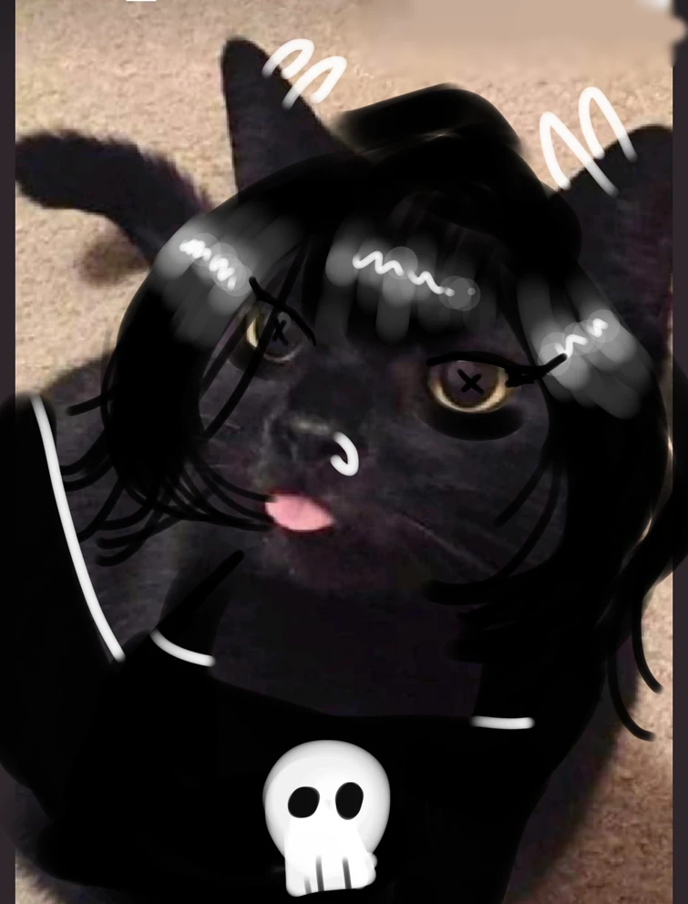 Emo cat | Fandom