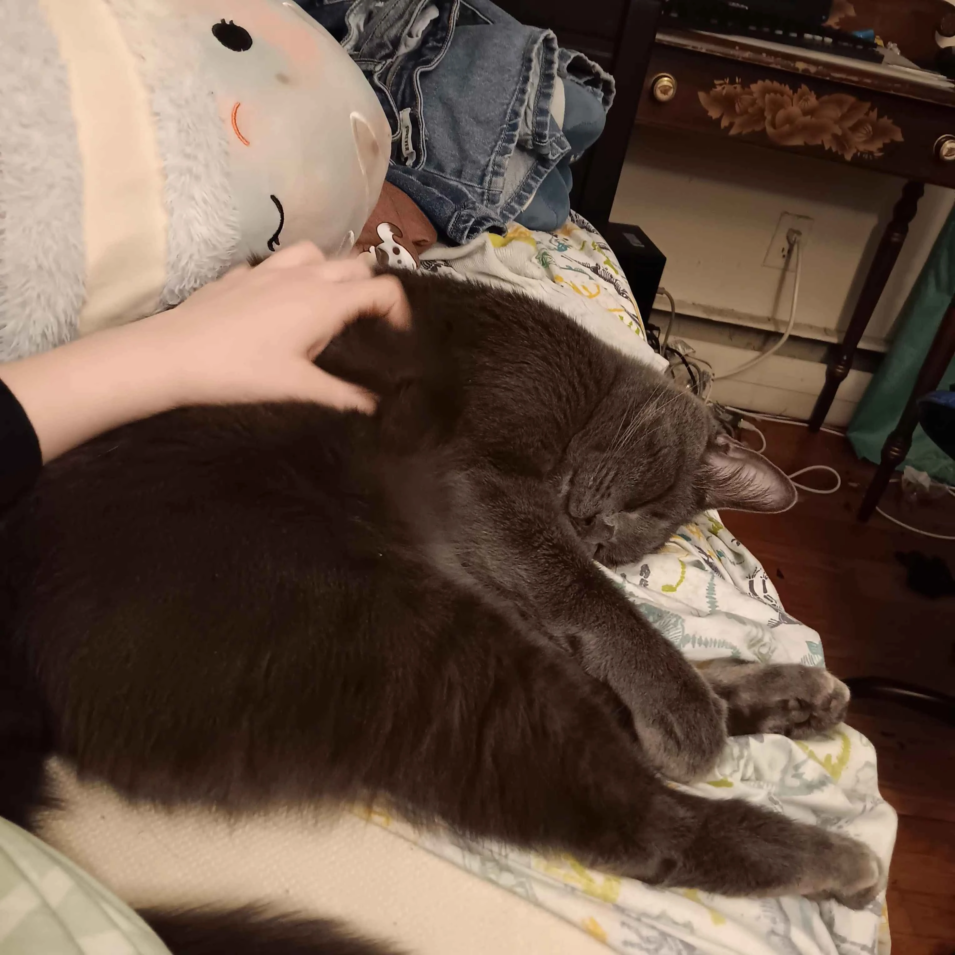 eepy baby :3 | Fandom