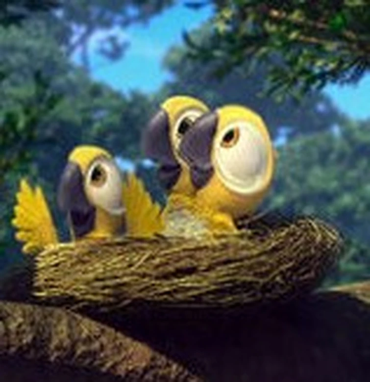 Discuss Everything About Rio Wiki | Fandom