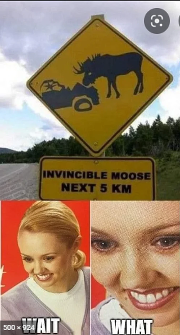 Invincible moose next 5km | Fandom