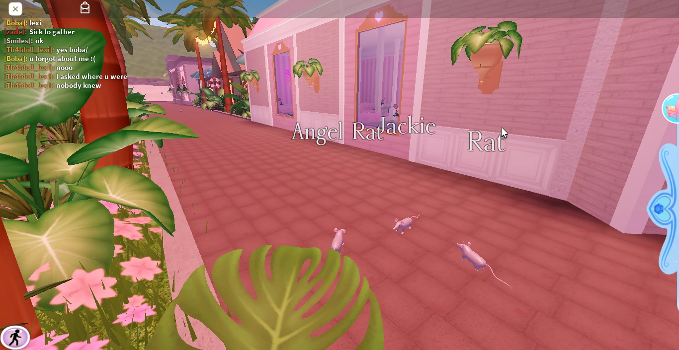 Rat Cult :D | Fandom