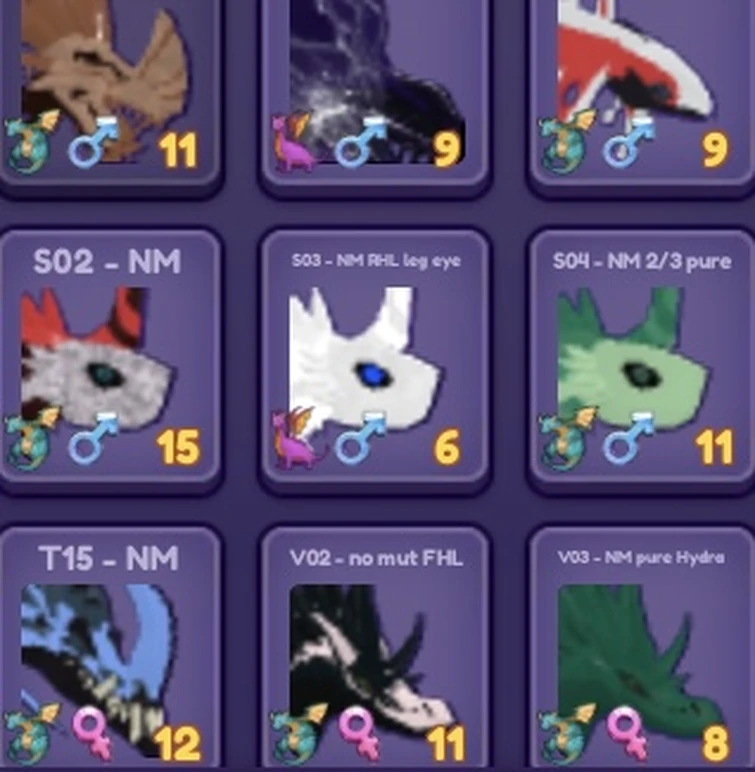 Discuss Everything About Dragon Adventures Wiki | Fandom