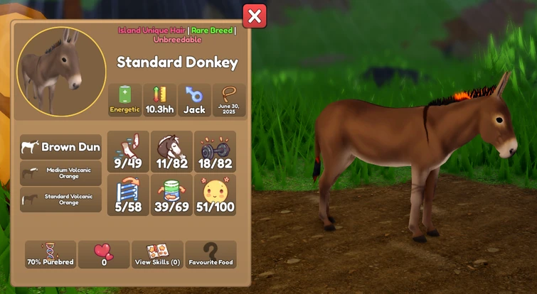 Swapping Brown Dun Donkeys | Fandom