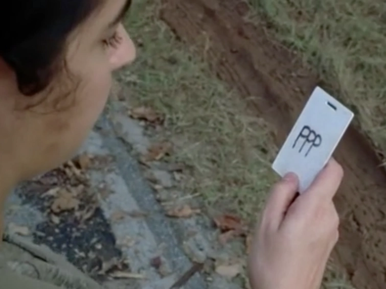 What the PPP card is | Fandom