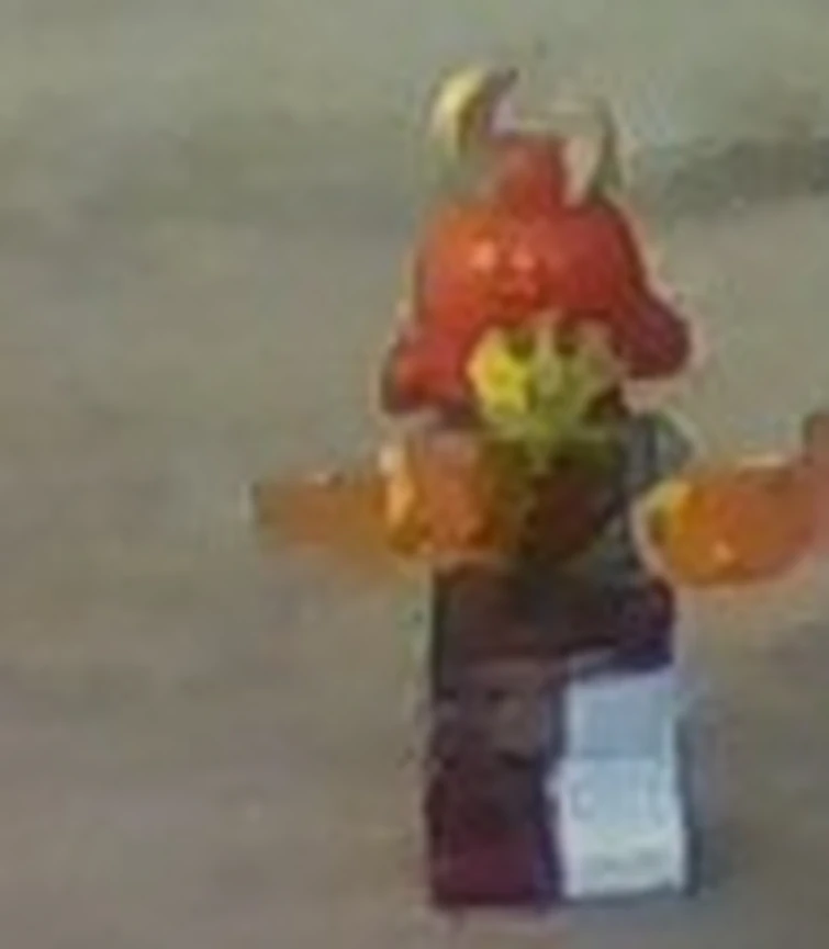 Gallery of customs | Fandom