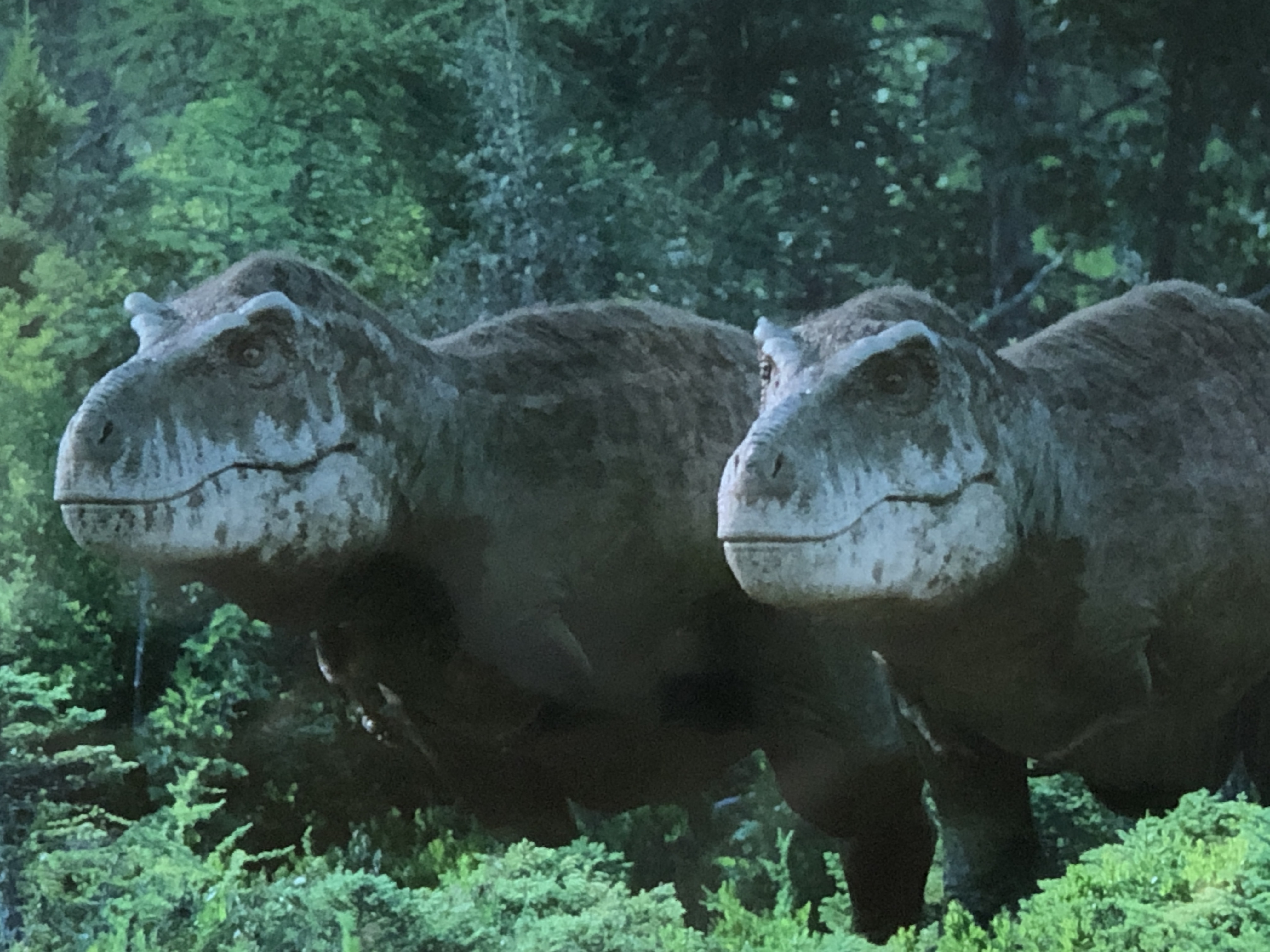 Trex Sexual Dimorphism Fandom