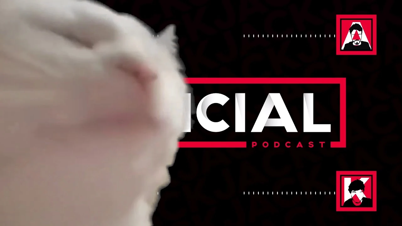 Anyone else watch/listen to the official podcast (Critikal Hugbees ...