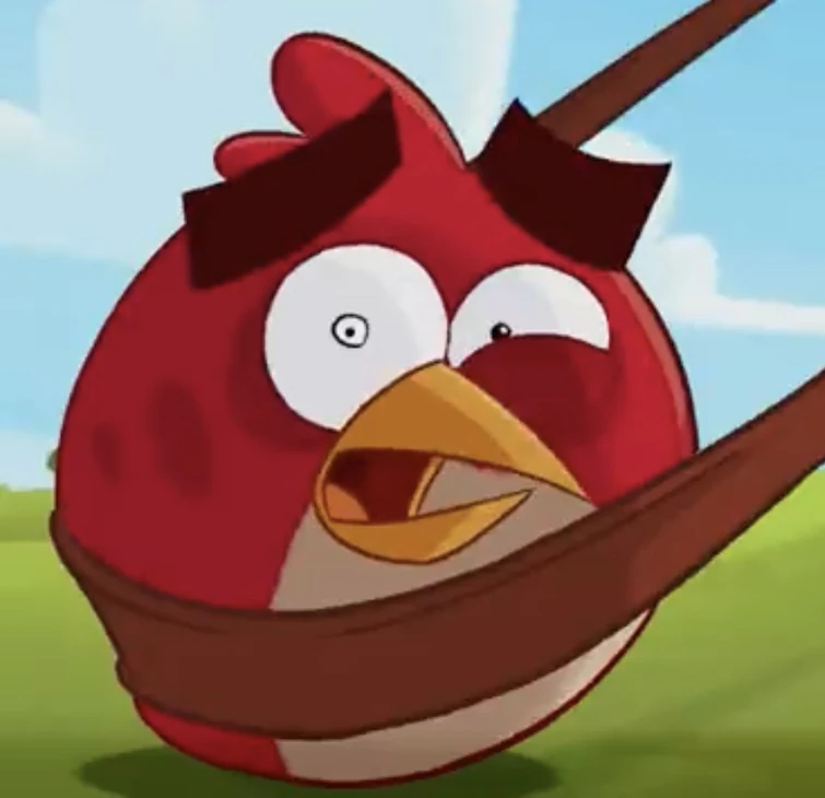 Discuss Everything About Angry Birds Wiki | Fandom