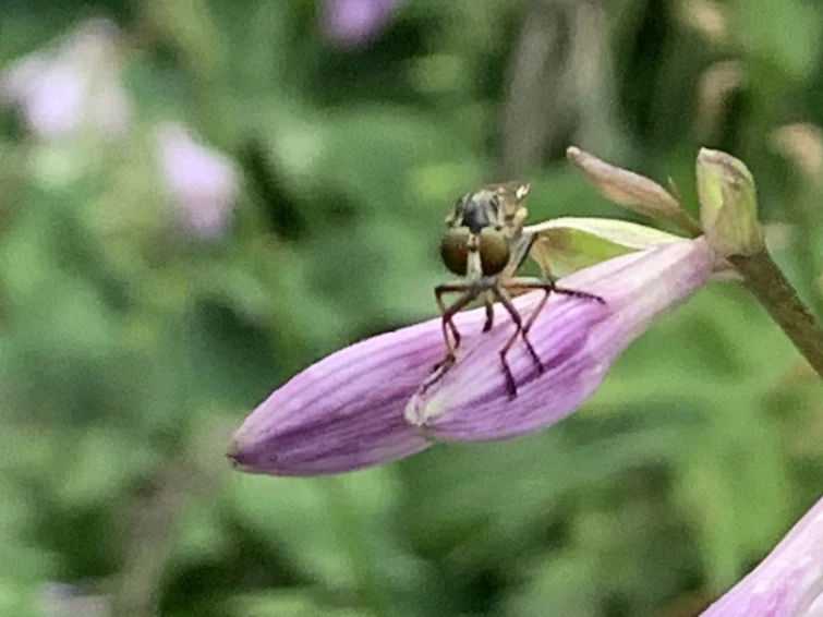 The Official Off Topic Thread (July 2025) | Fandom