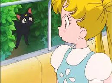 Discuss Everything About Sailor Moon Wiki | Fandom